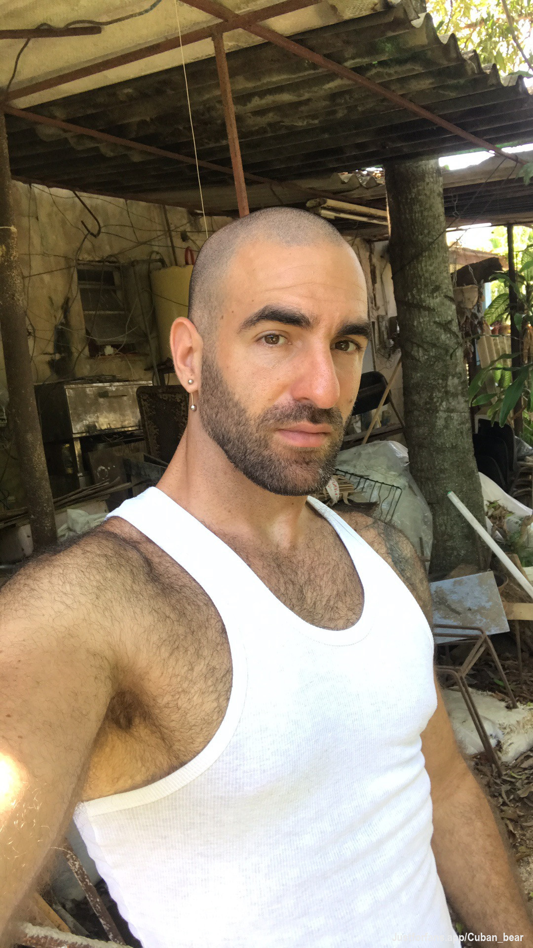 Cuban_bear - Just for Fans